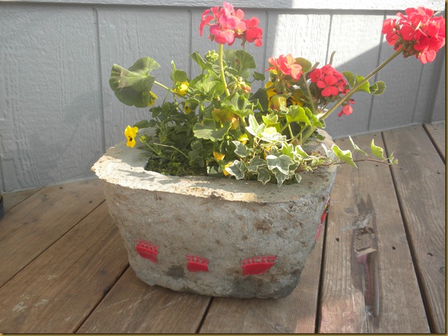 Designs on 47th Street: Hypertufa Planters
